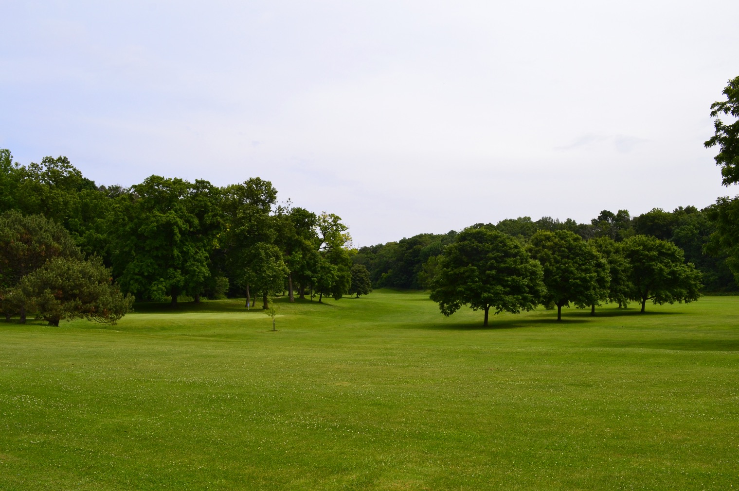 Washington Park Golf Course - Johnson Park Golf Course